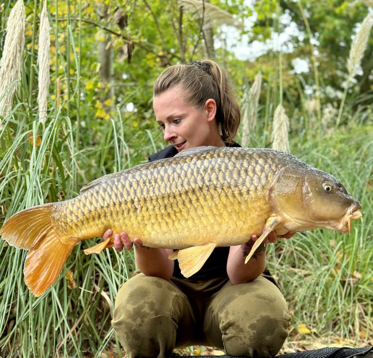Pristine Common | Total Carp